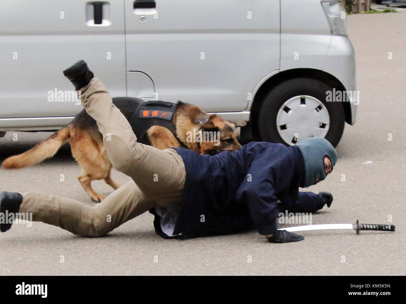 Monday. 4th Dec, 2017. December 4 2017, Tokyo, Japan - A police dog ...
