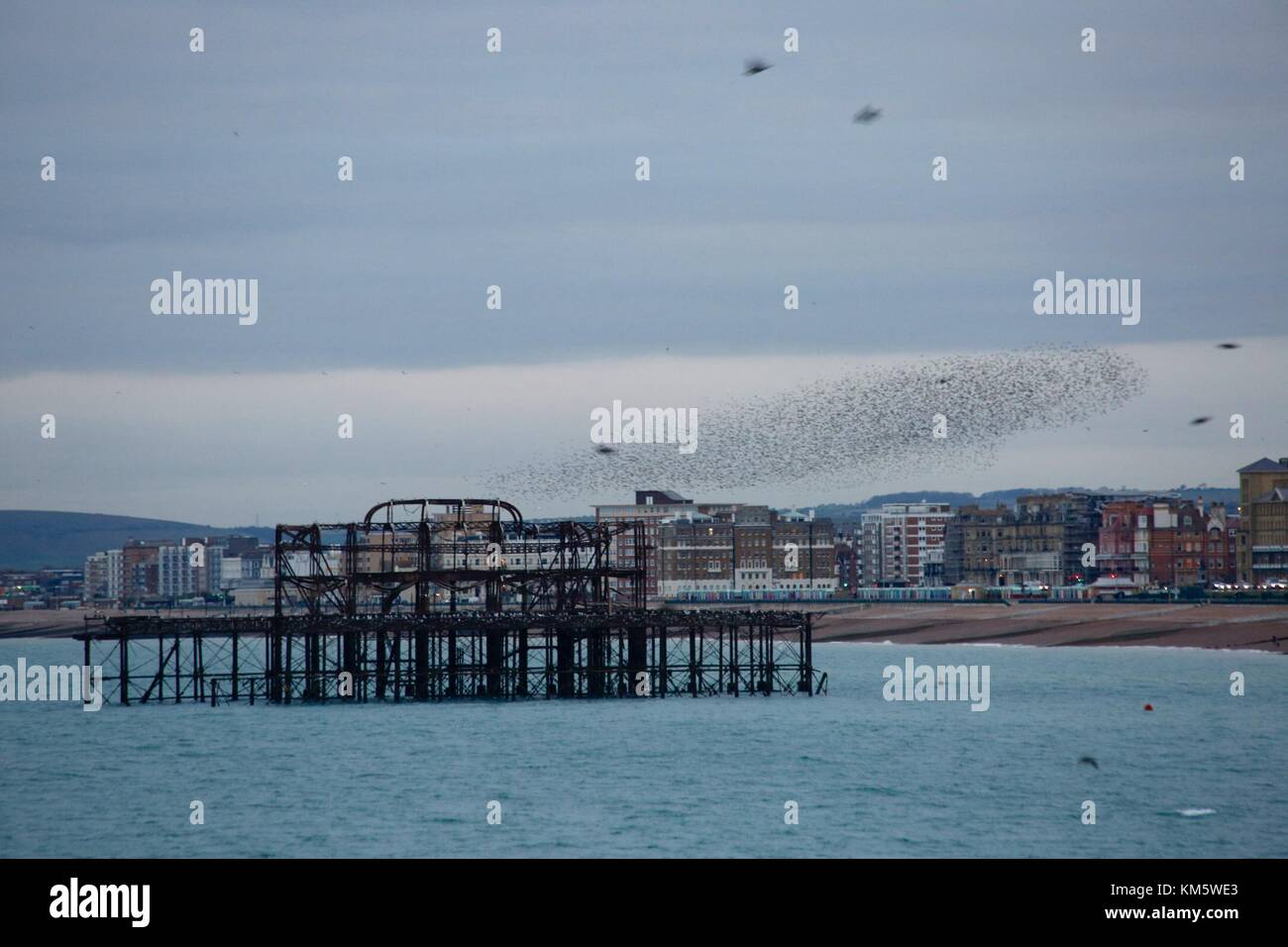 Brighton, East Sussex, England UK. 5th Dec, 2017. Starling murmurations ...