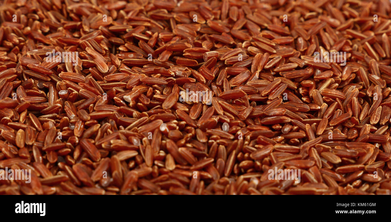 Red brown raw long grain rice close up pattern background, low angle ...