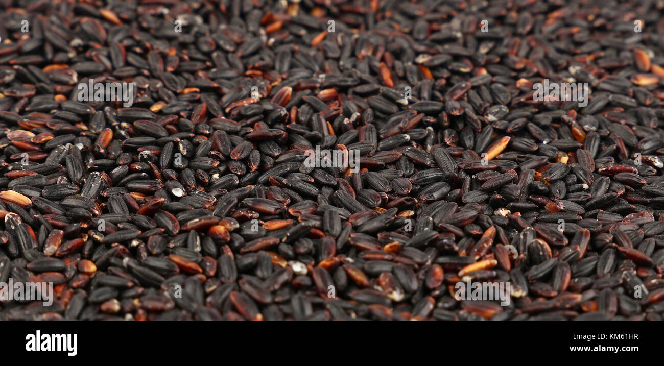 Black purple raw unhulled long grain rice close up pattern background ...