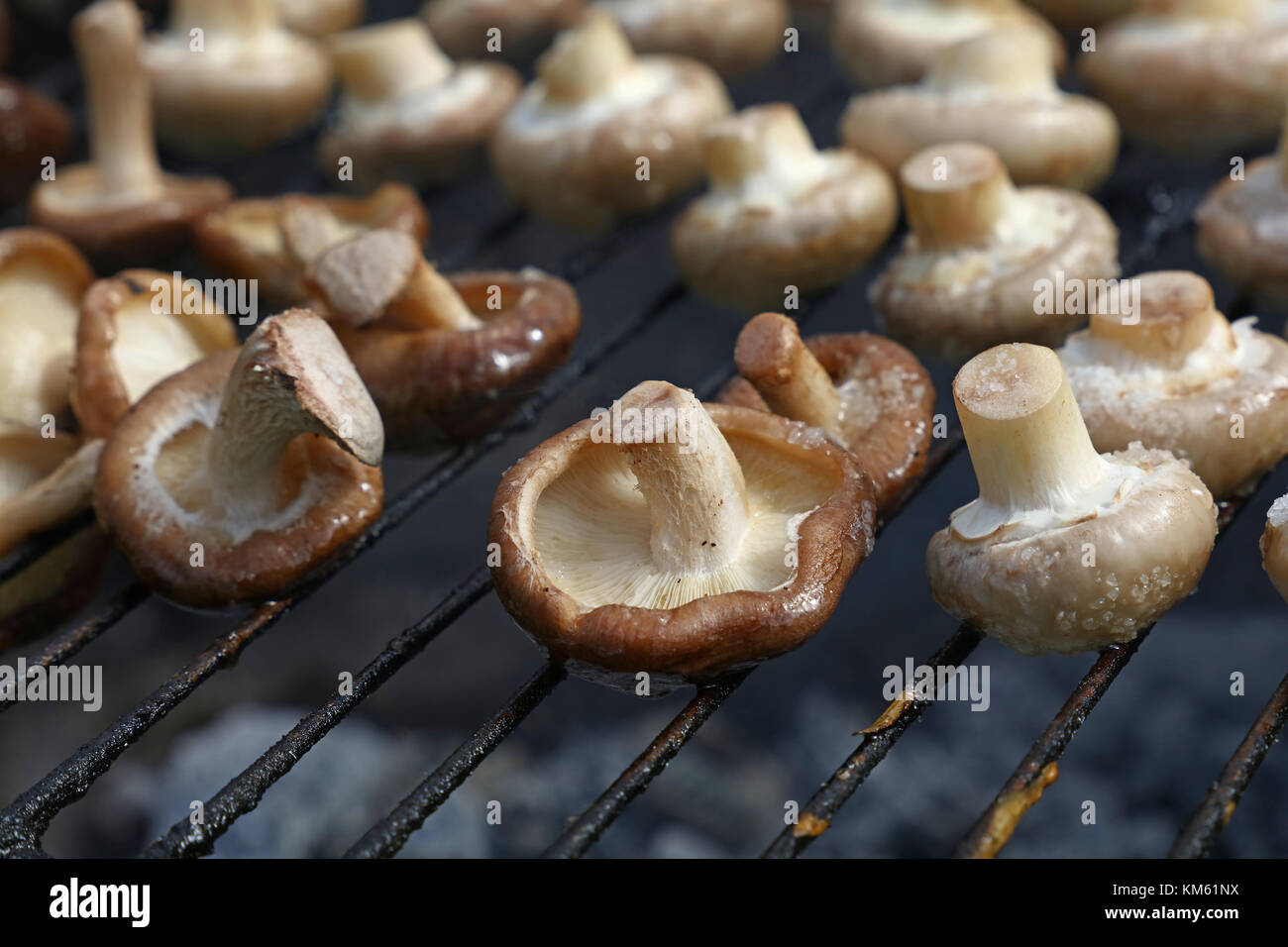 White champignon common mushrooms and black Chinese shiitake mushrooms ...