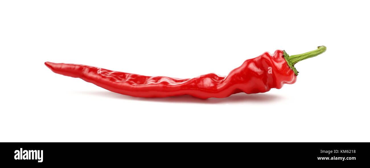 One whole fresh red hot chili pepper isolated on white background ...