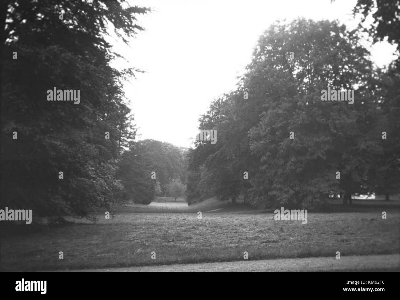 Schloss Wilhelmsthal is a historic castle located in Germany. Known for ...