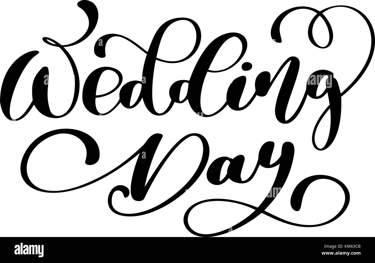wedding day vector text on white background. Calligraphy lettering ...