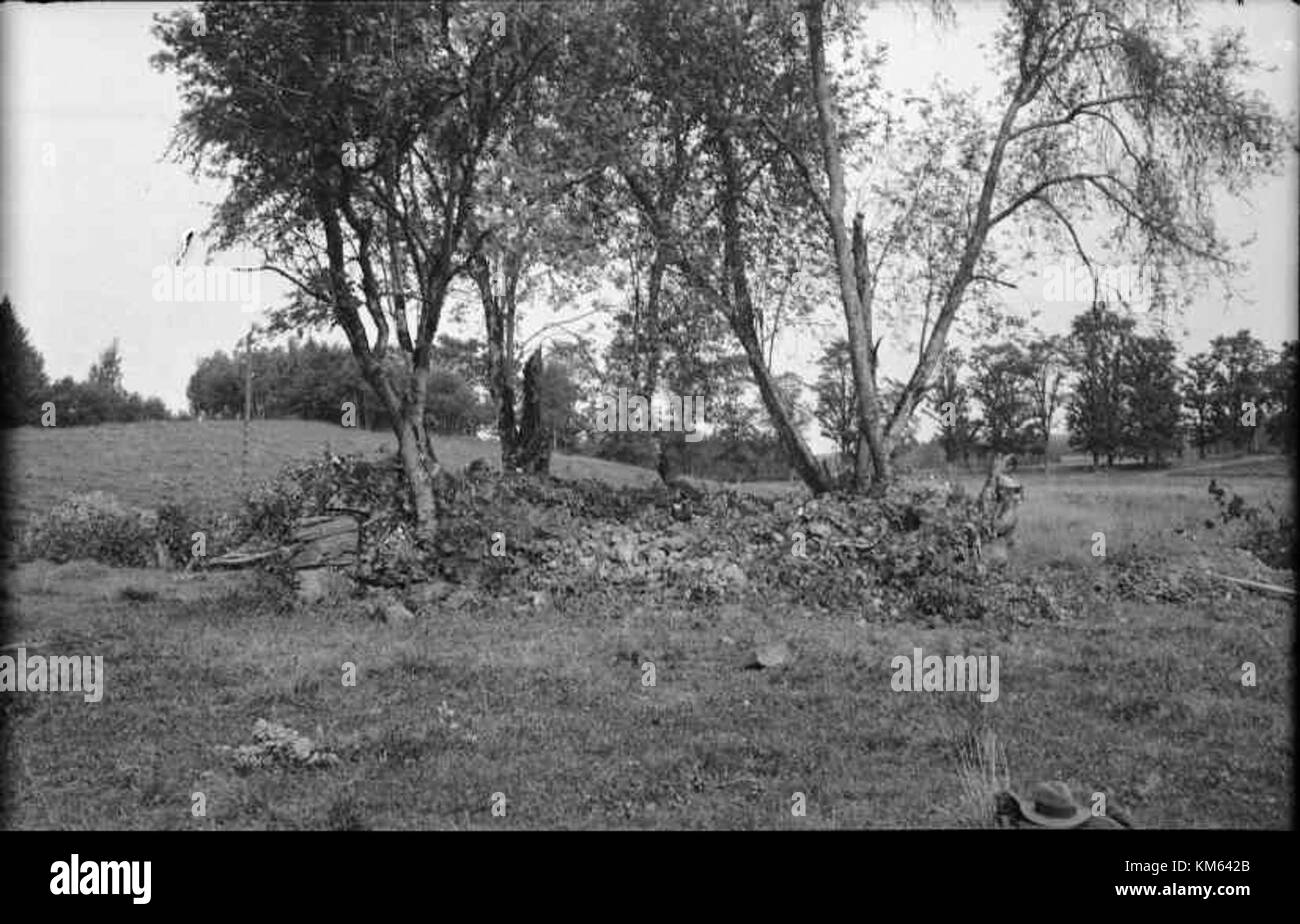 The Nydala Abbey Ruins in Sweden are remnants of a medieval Cistercian ...