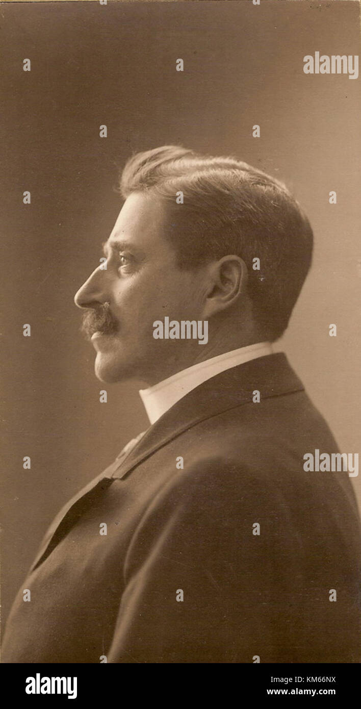 Heidenstam, Verner von profil AF Beskuren Stock Photo - Alamy