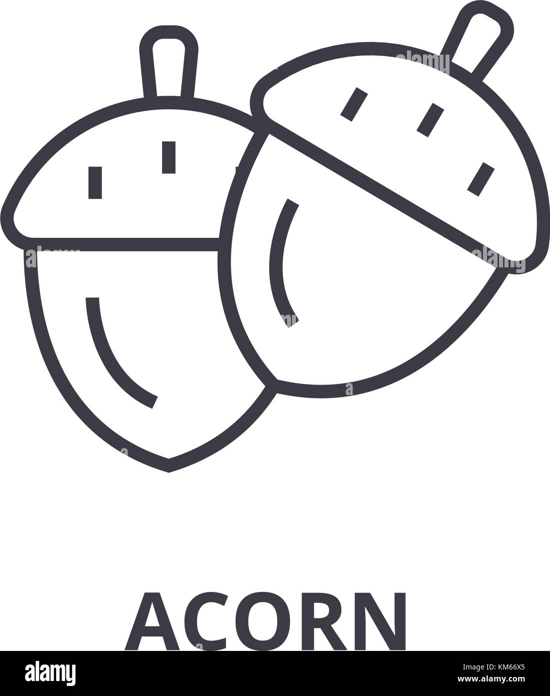 Acorn Symbol High Resolution Stock Photography and Images - Alamy