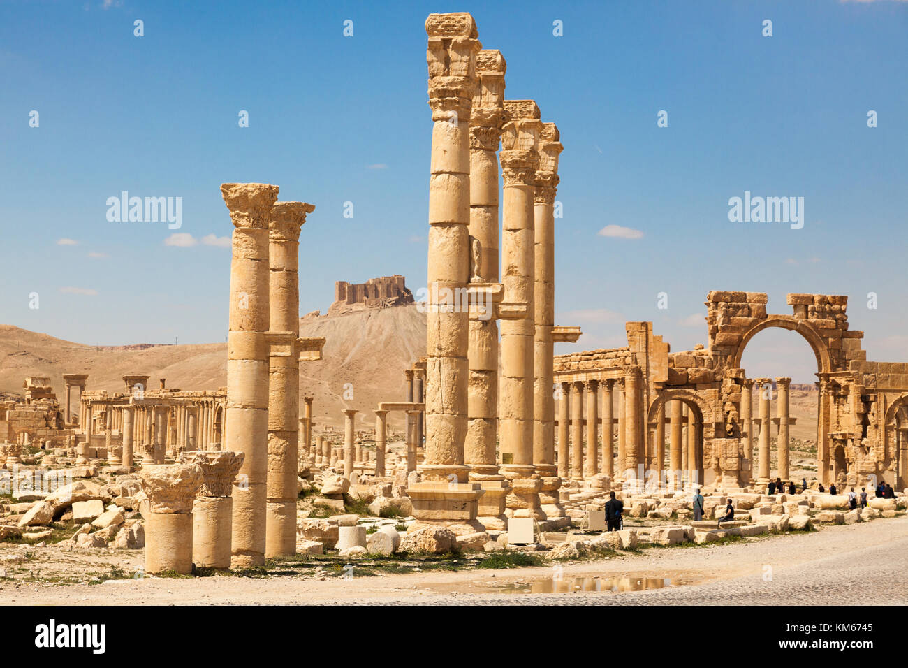The ancient ruins of Palmyra, Syria Stock Photo - Alamy