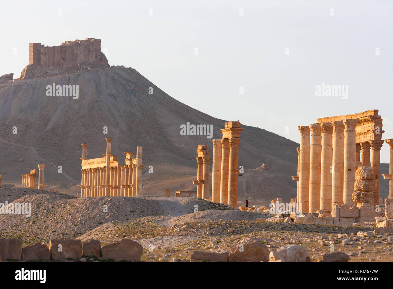 Palmyra syria isis hi-res stock photography and images - Alamy