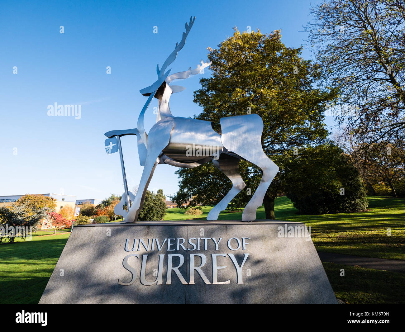 Stag Statue, Surrey University, Guildford, Surrey, England, UK, GB ...