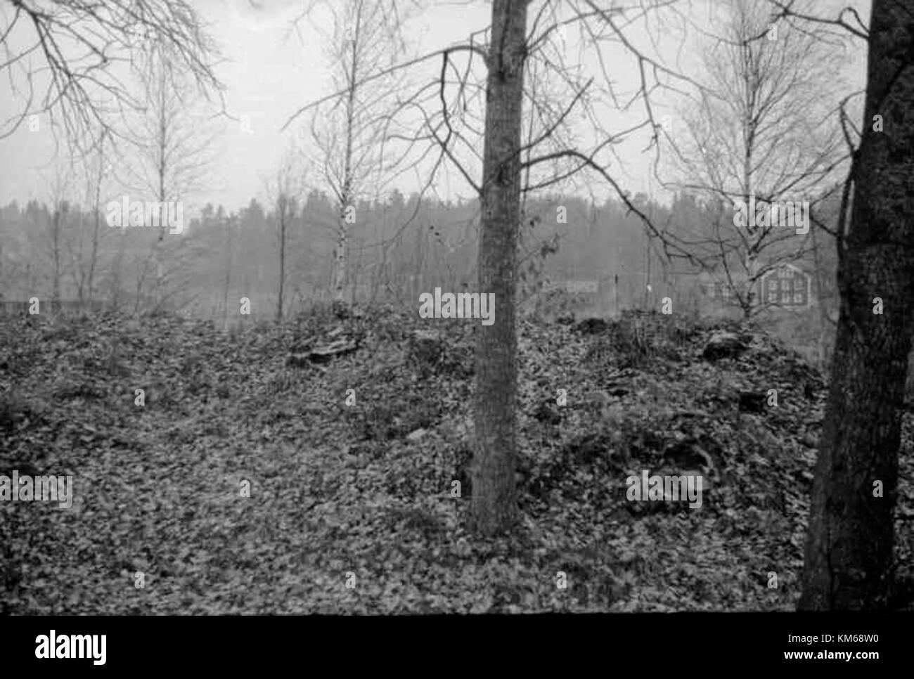 Hassela Church Ruin, located in Sweden, is a historical site with ...