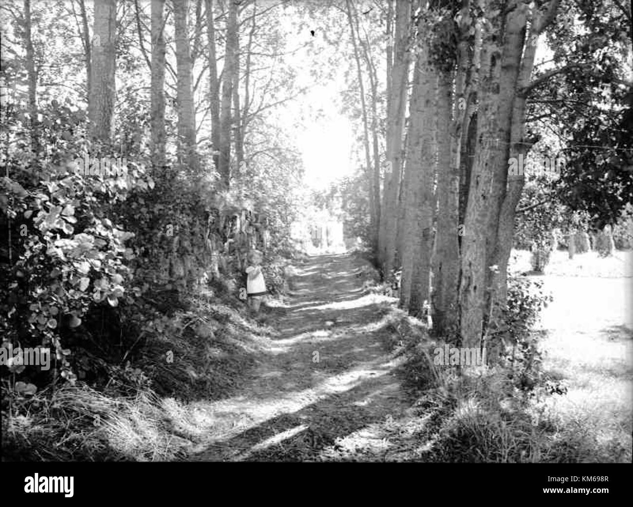 Hassela Church Ruin is a historical site located in Sweden. The ruin is ...