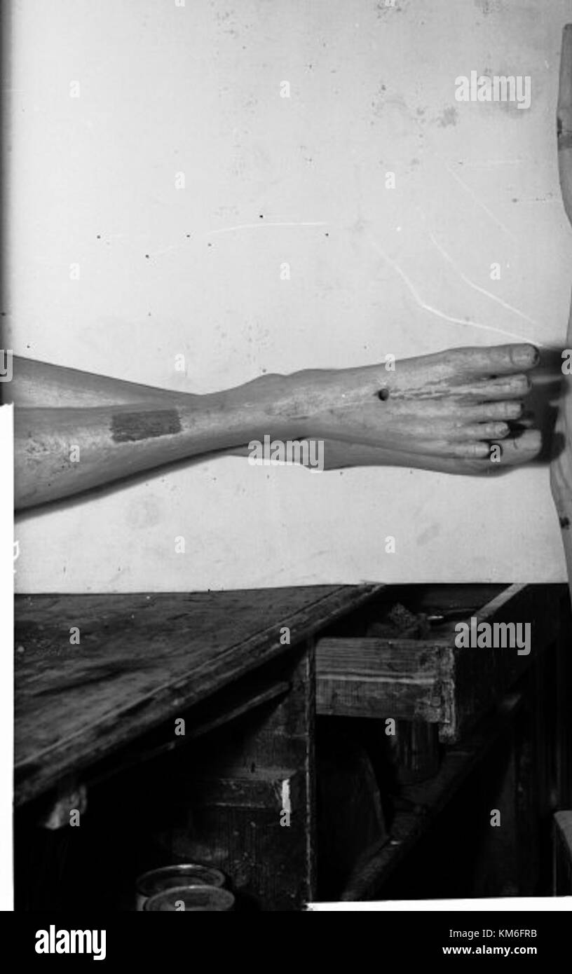 Lau design Black and White Stock Photos & Images - Alamy