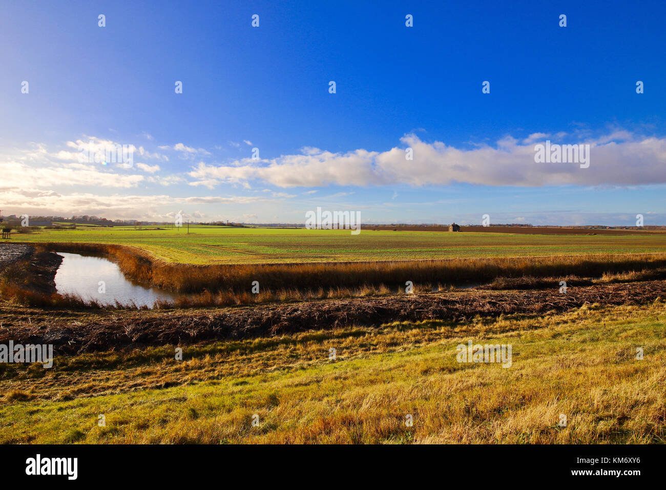 Kingsfleet tributary hi-res stock photography and images - Alamy