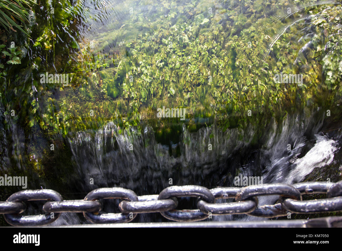 Fast flowing shallow water moving across a mixture of water plants or ...