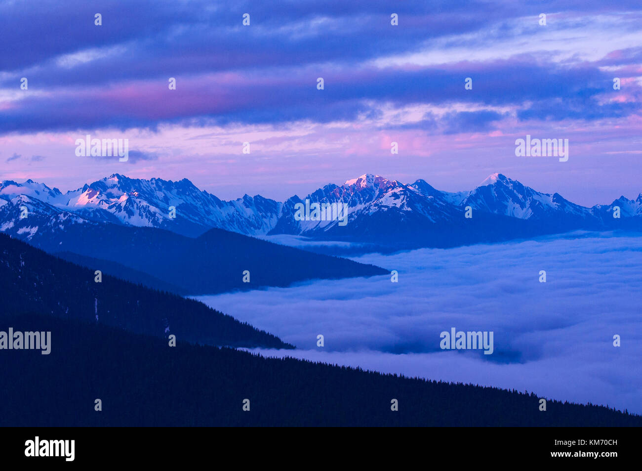 Olympic Mountain Range, Olympic National Park, Washibgton, USA Stock ...