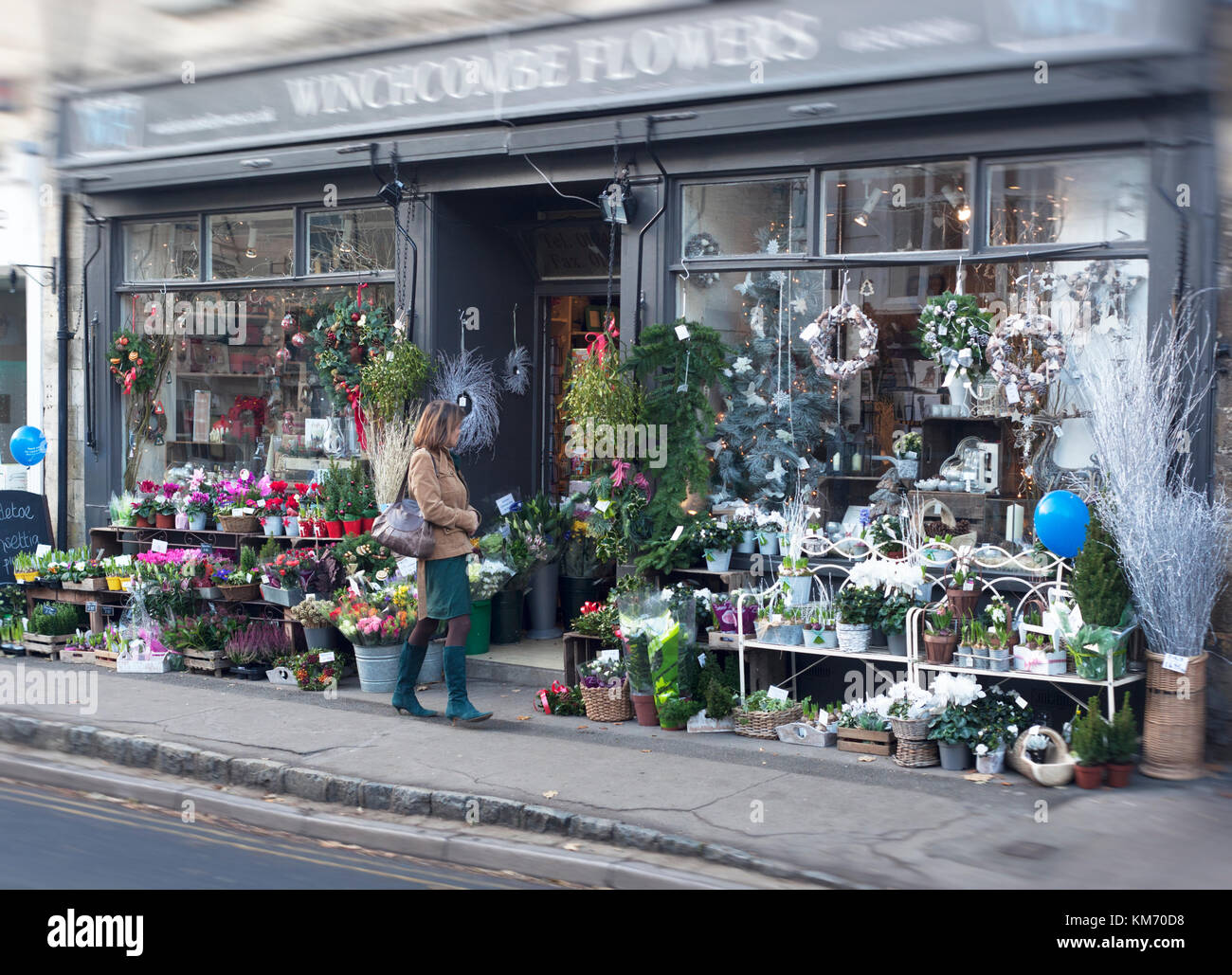 A woman walker admires festive displays of seasonal plants in a ...