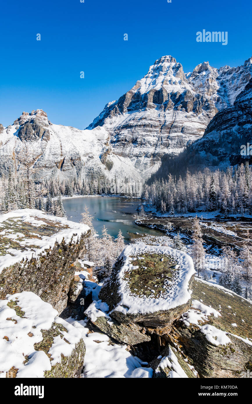 Mount Huber, Yoho National Park, British Columbia, Canada Stock Photo ...