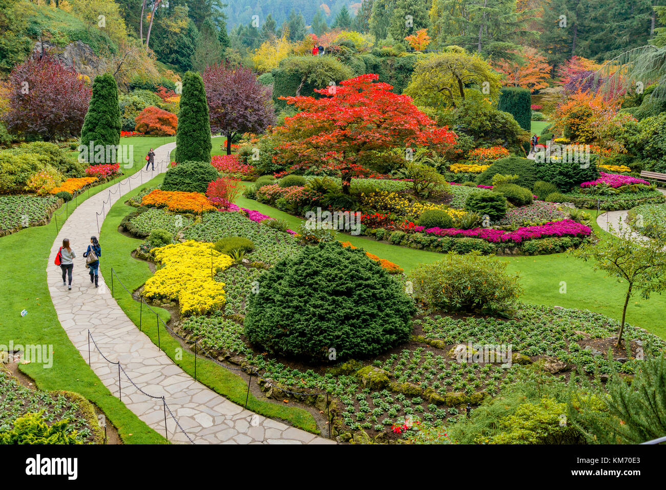 Fall color, the Sunken Garden, Butchart Gardens, Brentwood Bay ...
