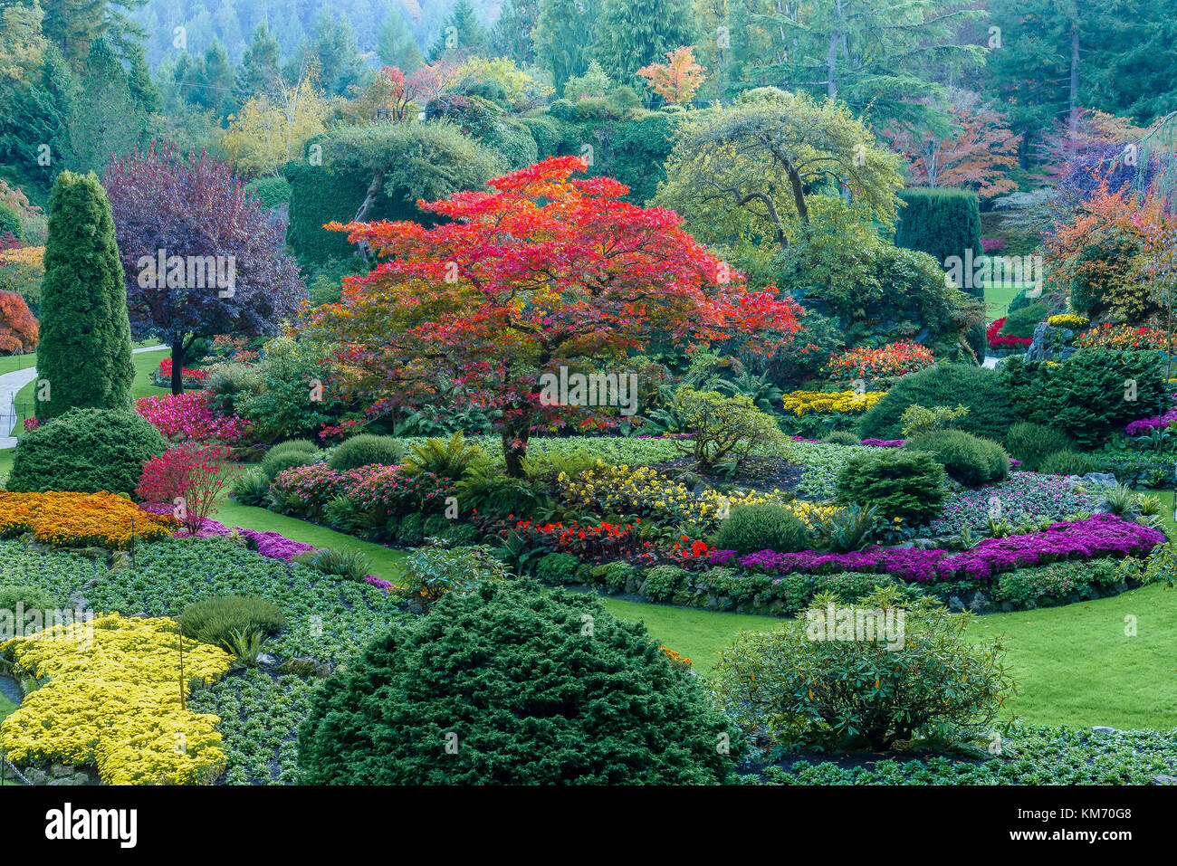 Butchart gardens autumn hi-res stock photography and images - Alamy