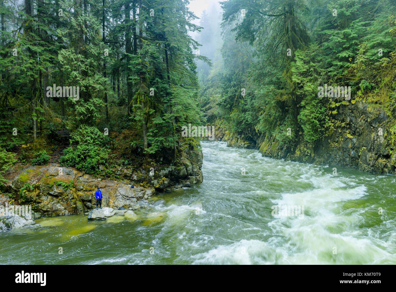 Fisherman, Capilano River, Capilano River Regional Park, N. Vancouver ...
