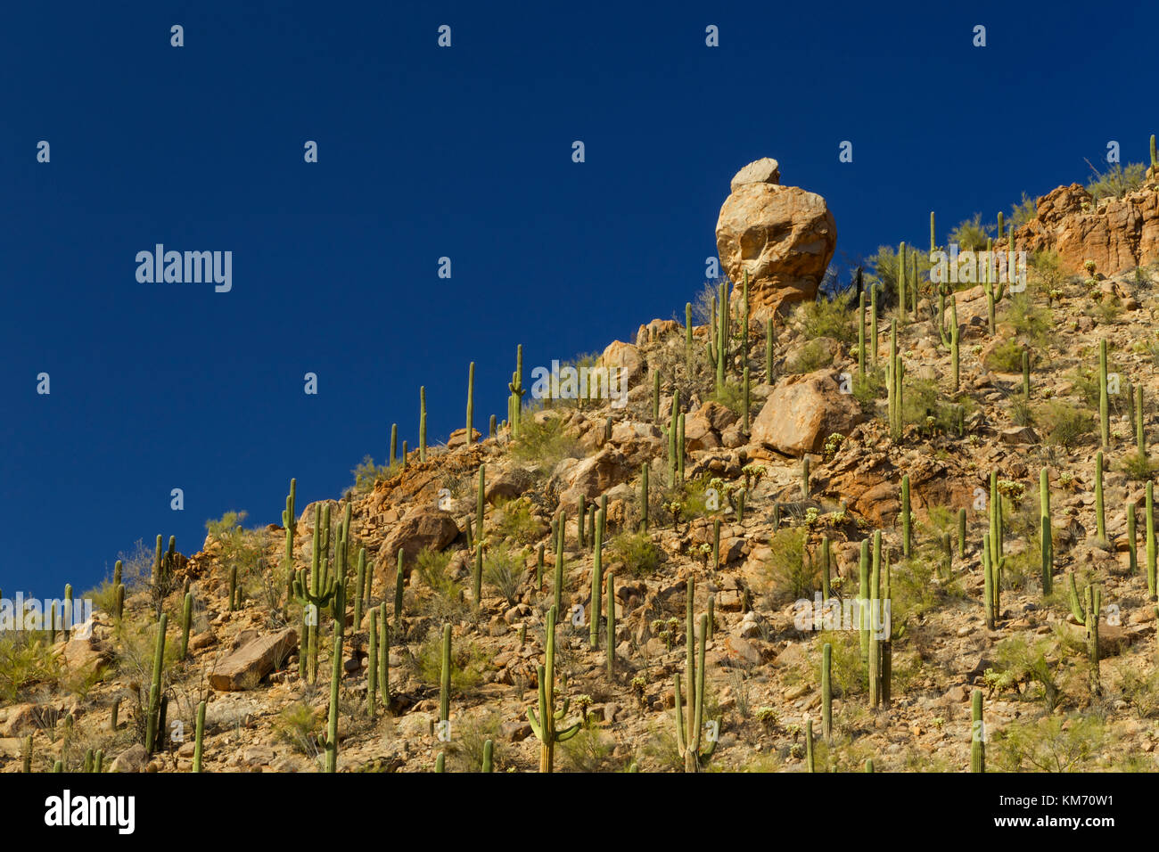 Balanced rock, Saguaro National Park, AZ, USA Stock Photo - Alamy