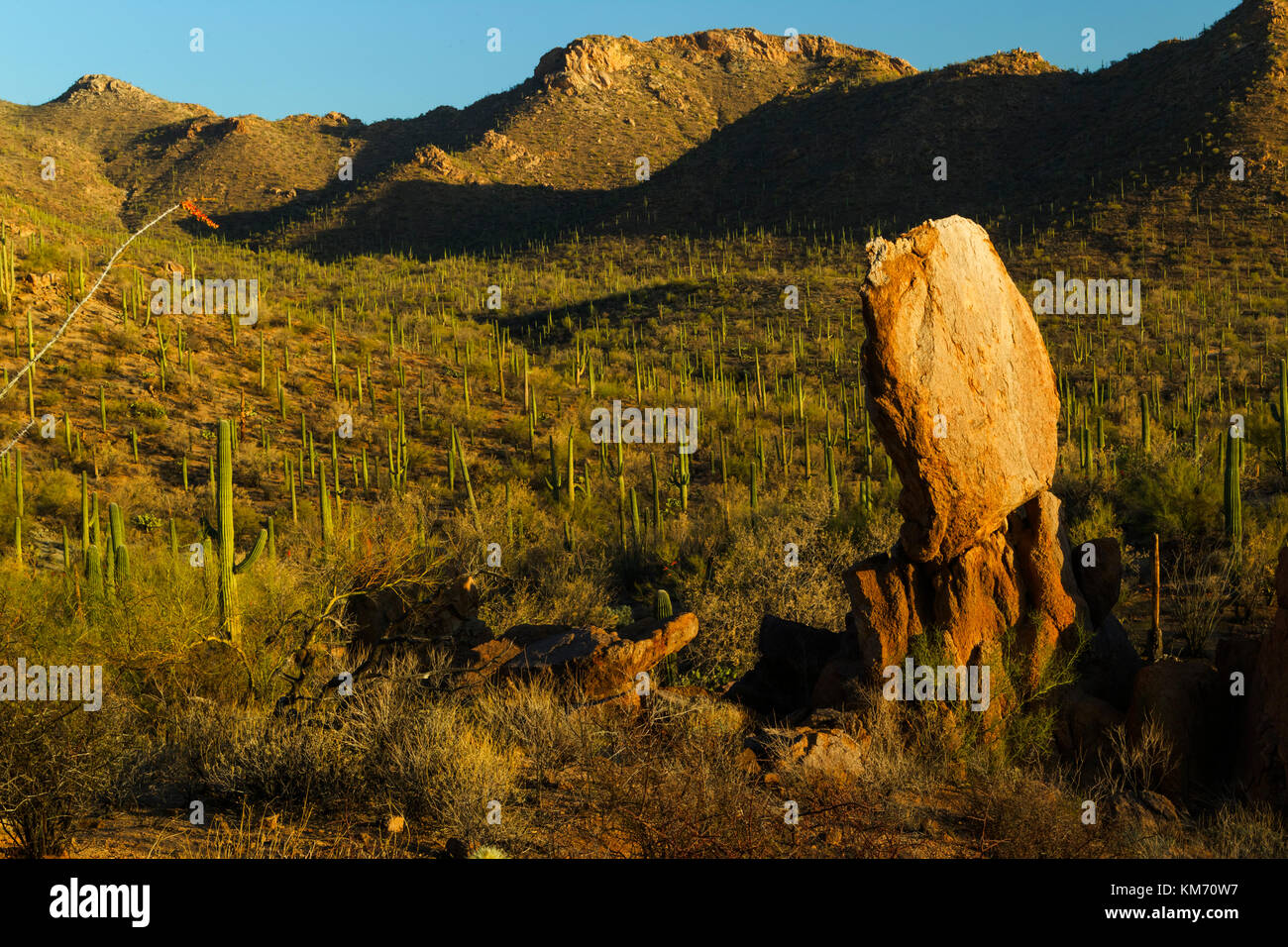 Balanced rock at sunset, Saguaro National Park, AZ, USA Stock Photo - Alamy