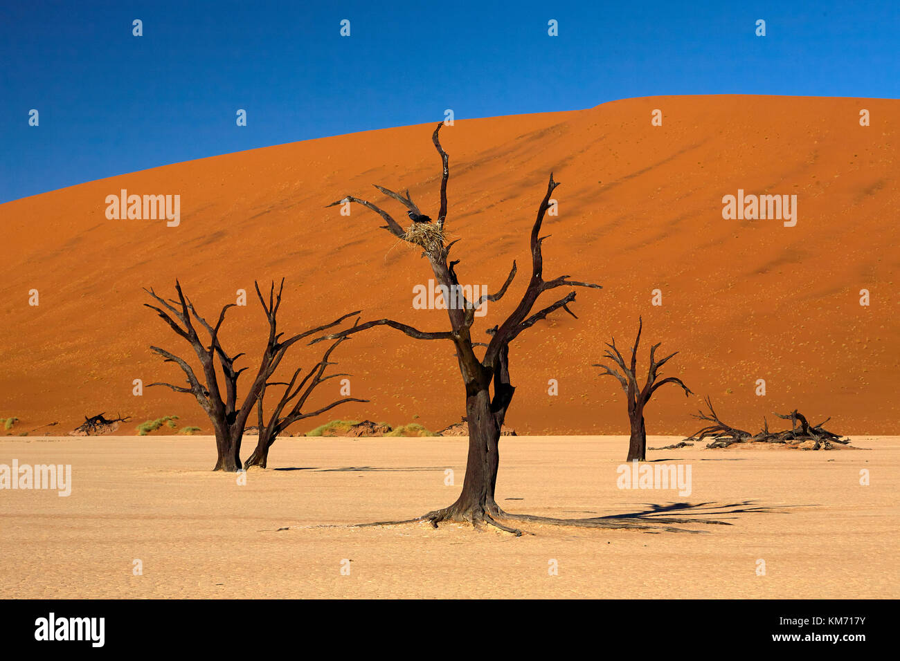 Namibian Desert Sites Stock Photo - Alamy