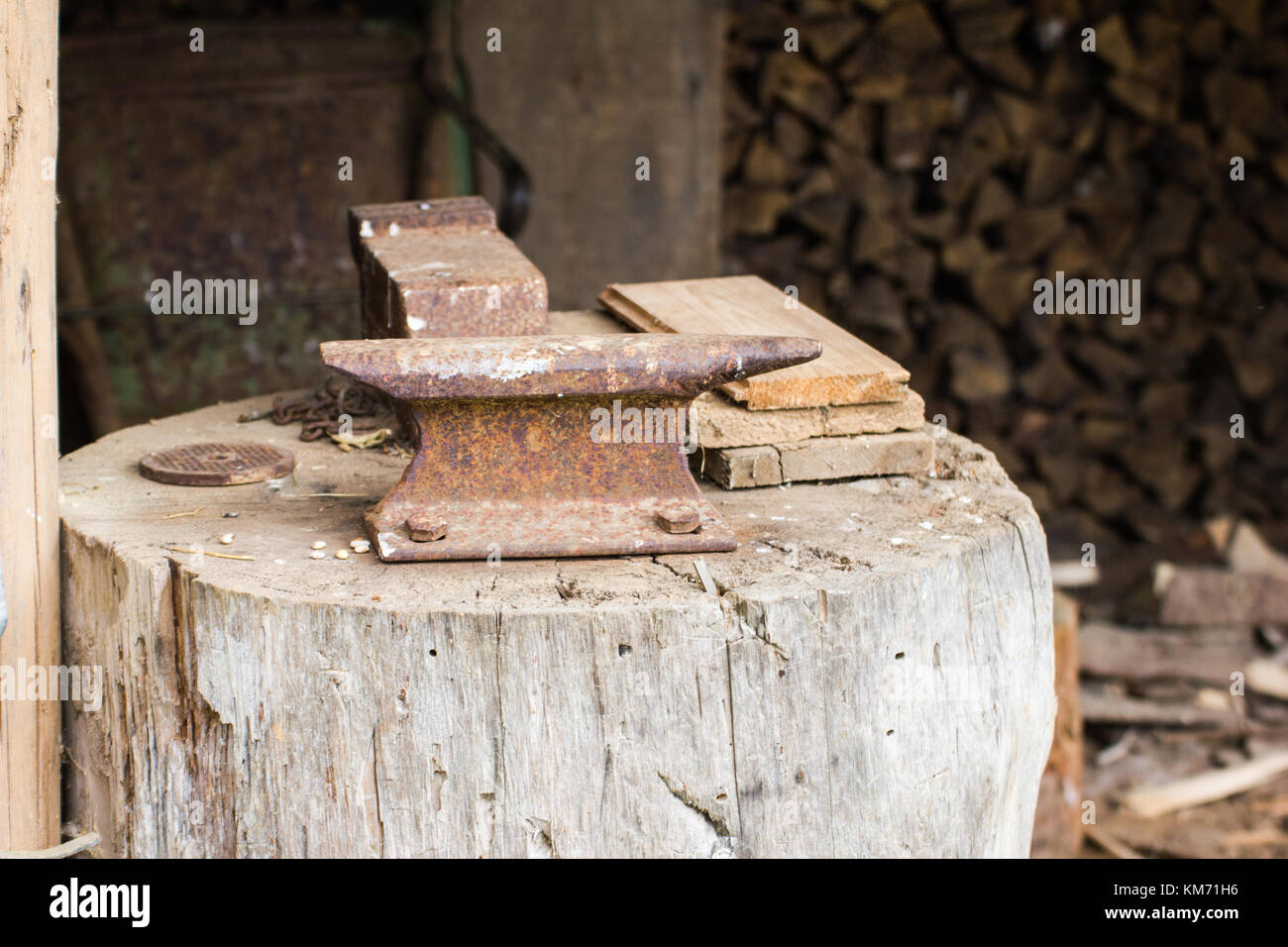An old workshop anvil fixed on top of a large wooden stump workbench ...
