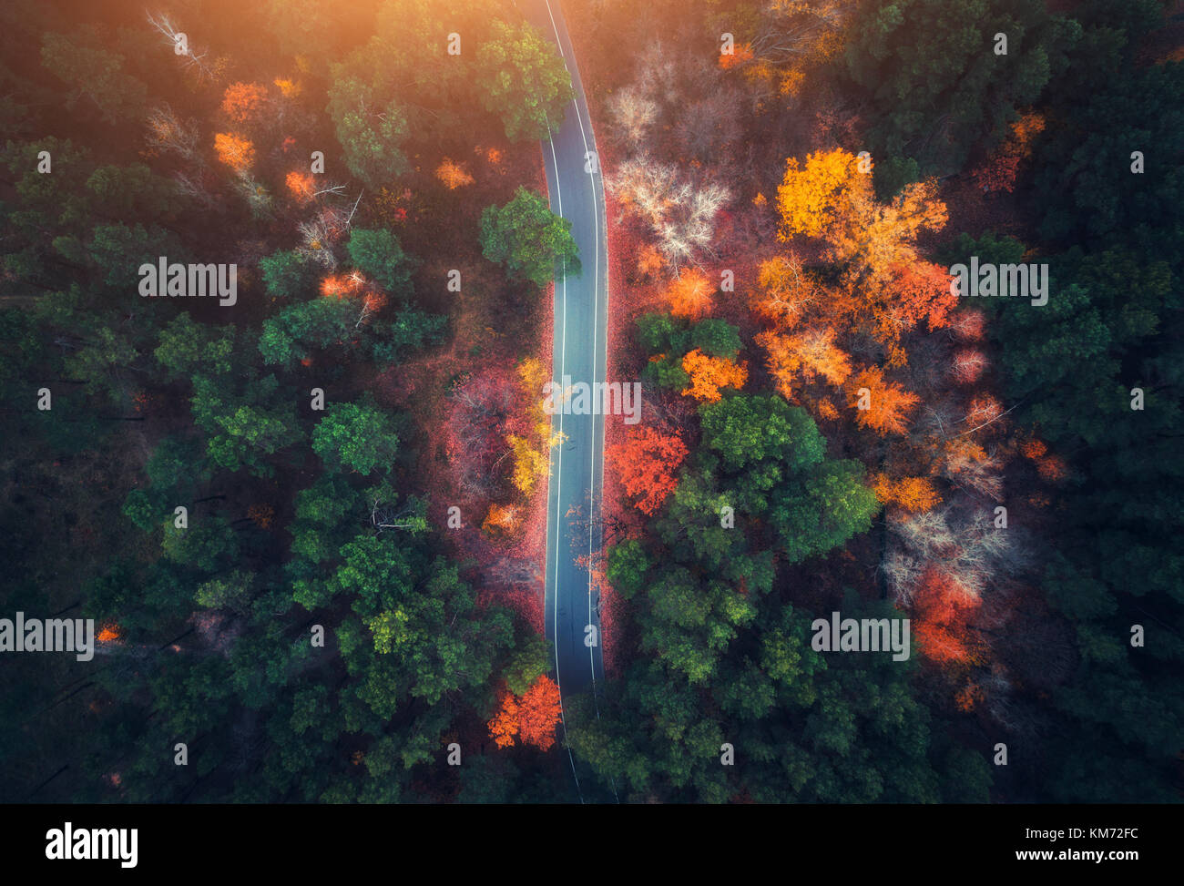 Aerial view of road in beautiful autumn forest at sunset. Beautiful ...
