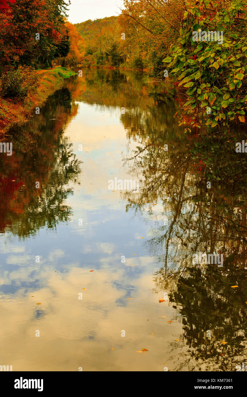 Beautiful forest landscape Stock Photo - Alamy