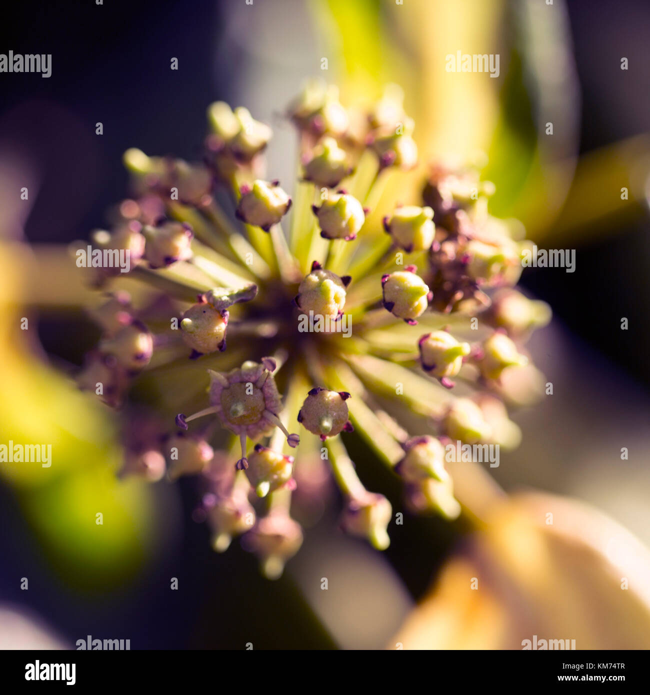 Rottenrow hi-res stock photography and images - Alamy