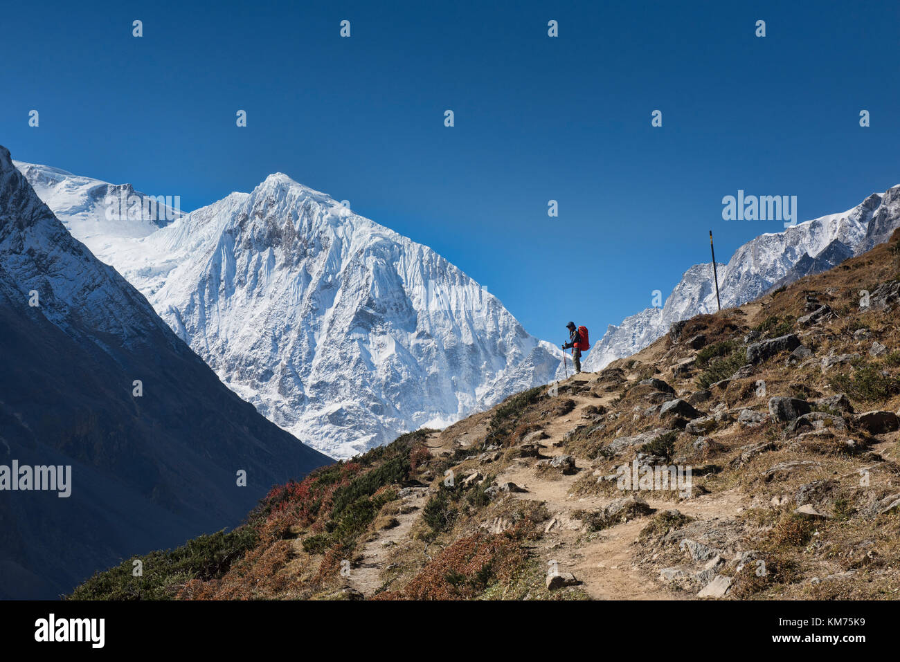 Trekking to the Larkya La Pass on the Manaslu Circuit, Nepal Stock ...