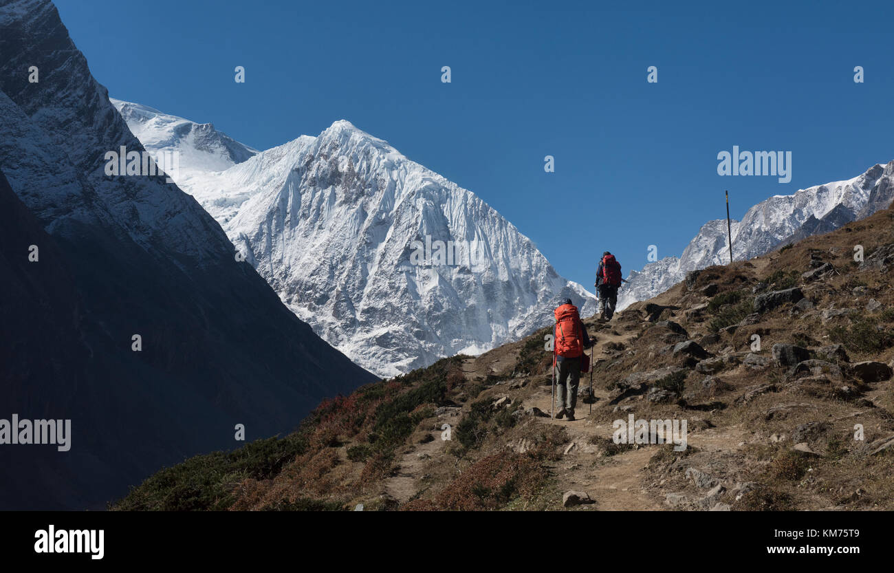 Trekking to the Larkya La Pass on the Manaslu Circuit, Nepal Stock ...