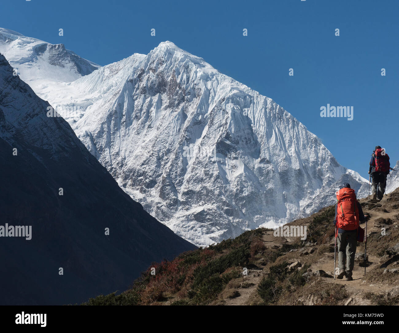 Trekking to the Larkya La Pass on the Manaslu Circuit, Nepal Stock ...