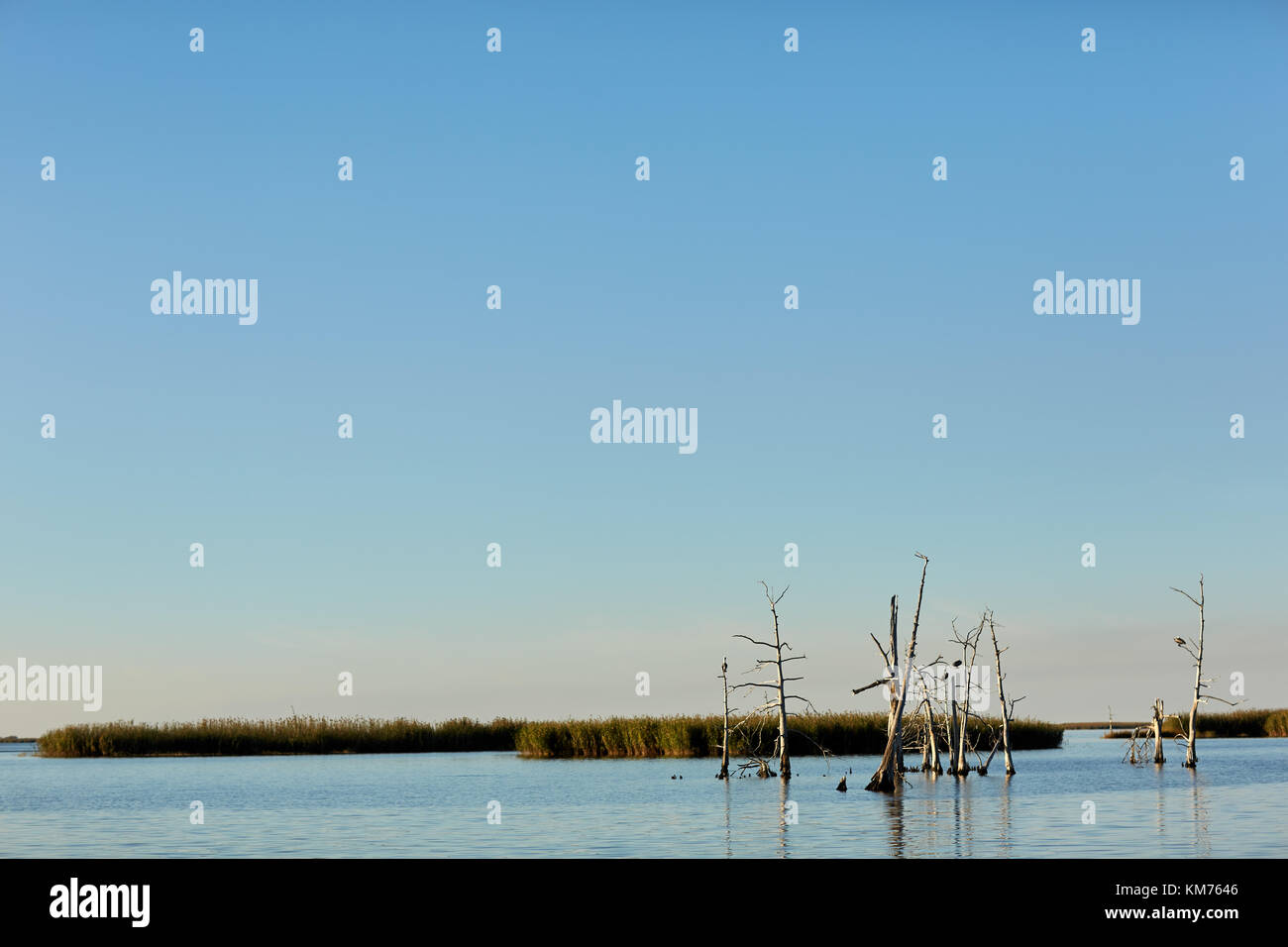 Mississippi delta hi-res stock photography and images - Alamy