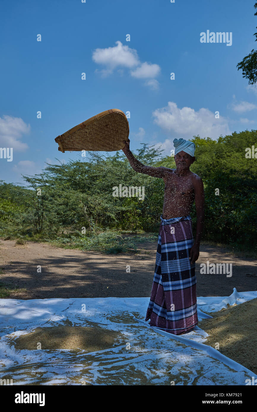 Traditional winnowing hi-res stock photography and images - Alamy