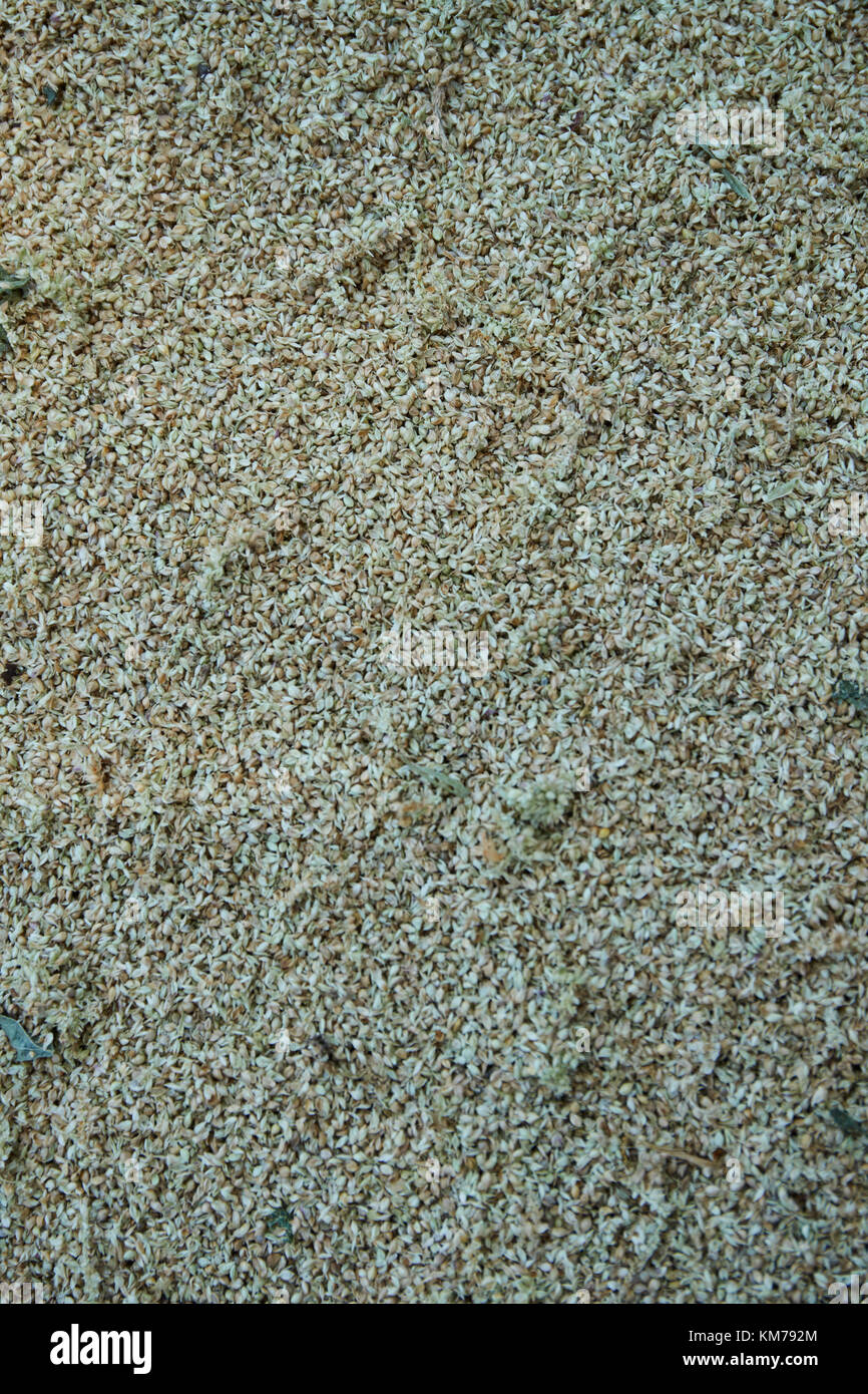 grain pattern, agricultural background pattern Stock Photo - Alamy