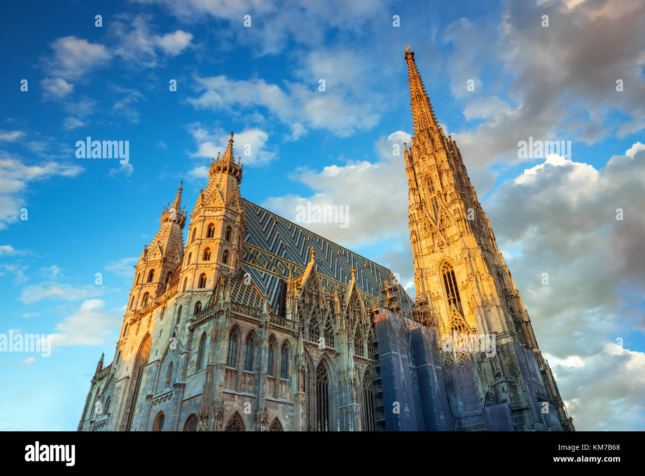 Saint Stephens Cathedral is the mother church of the Roman Catholic ...