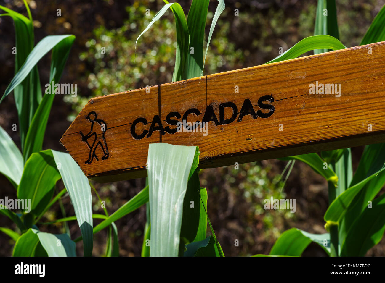 Signpost to the waterfall Stock Photo - Alamy
