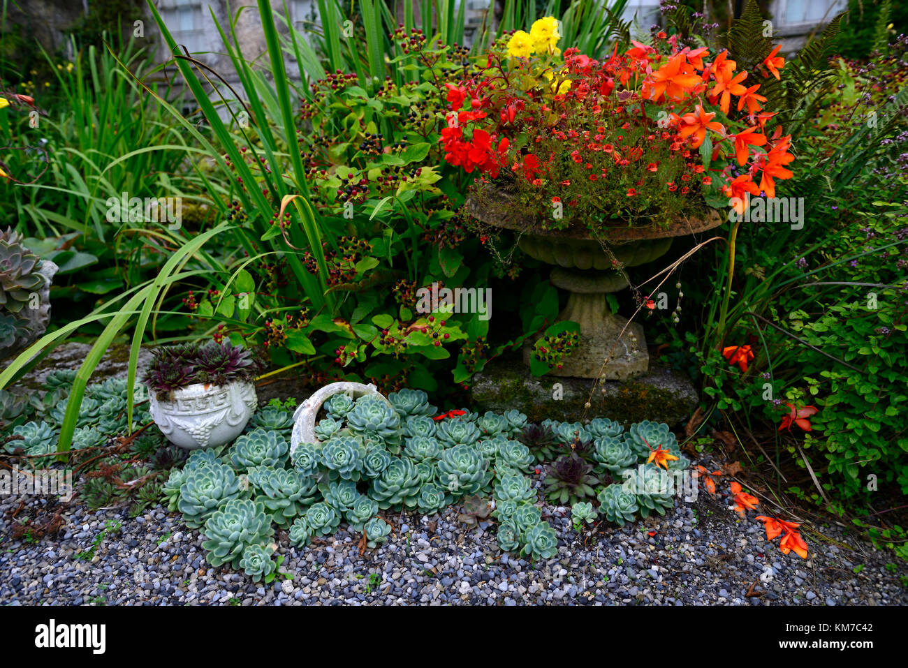 Garden displays hi-res stock photography and images - Alamy