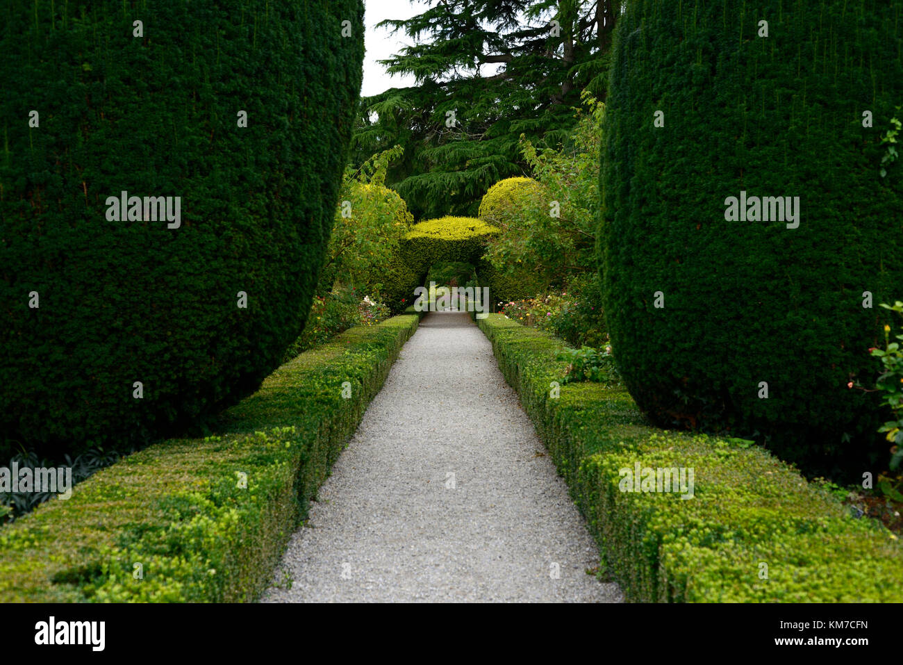 Yew hedge with arch hi-res stock photography and images - Alamy