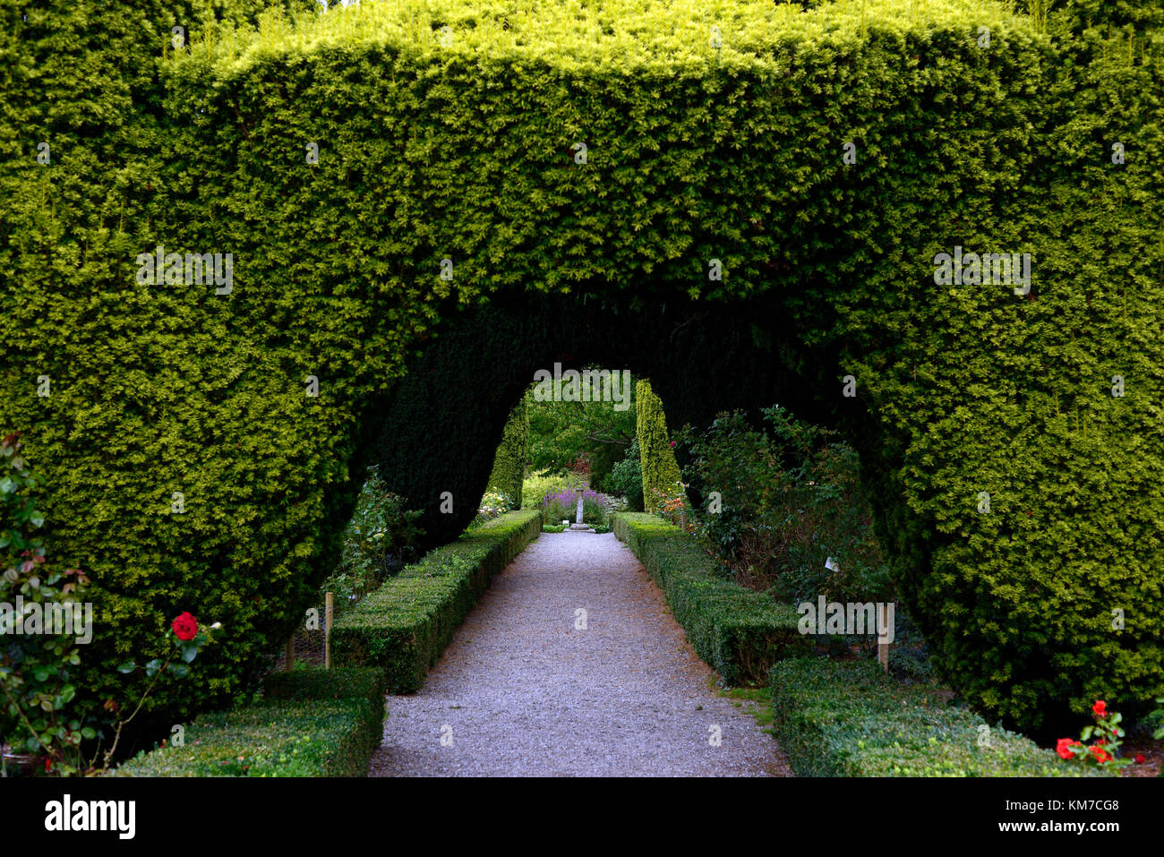 Yew hedge with arch hi-res stock photography and images - Alamy