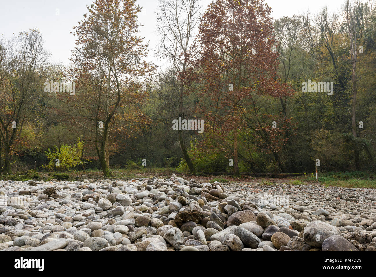 views of River Adda from a rocky beach Stock Photo - Alamy