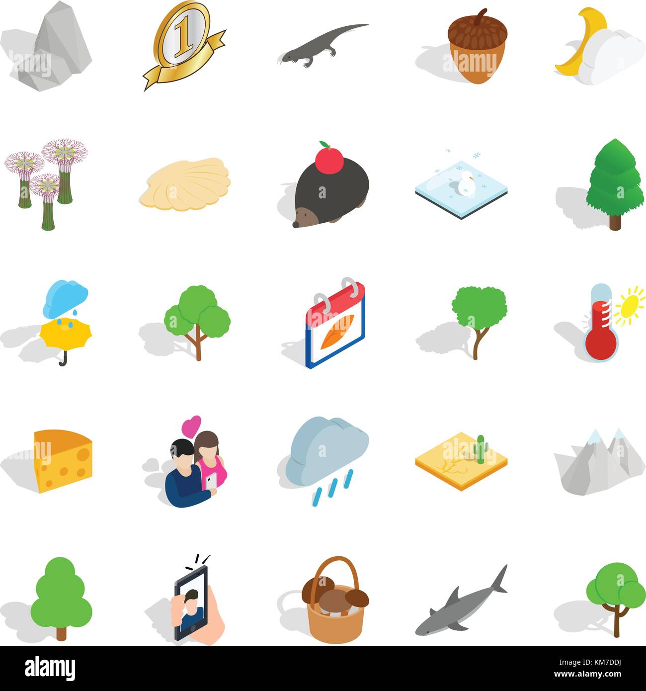 Reservation icons set, isometric style Stock Vector Image & Art - Alamy