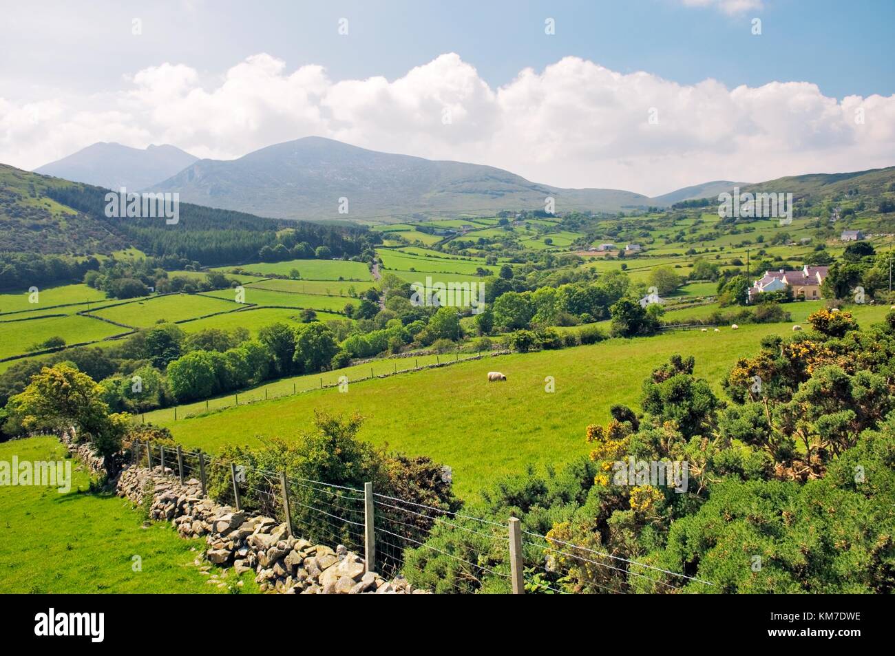 Farm countryside in the Mourne Mountains, County Down, Ireland. Seen ...