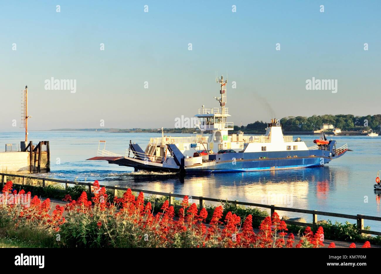 Ferryboat across the narrow entrance of Strangford Lough leaves ...