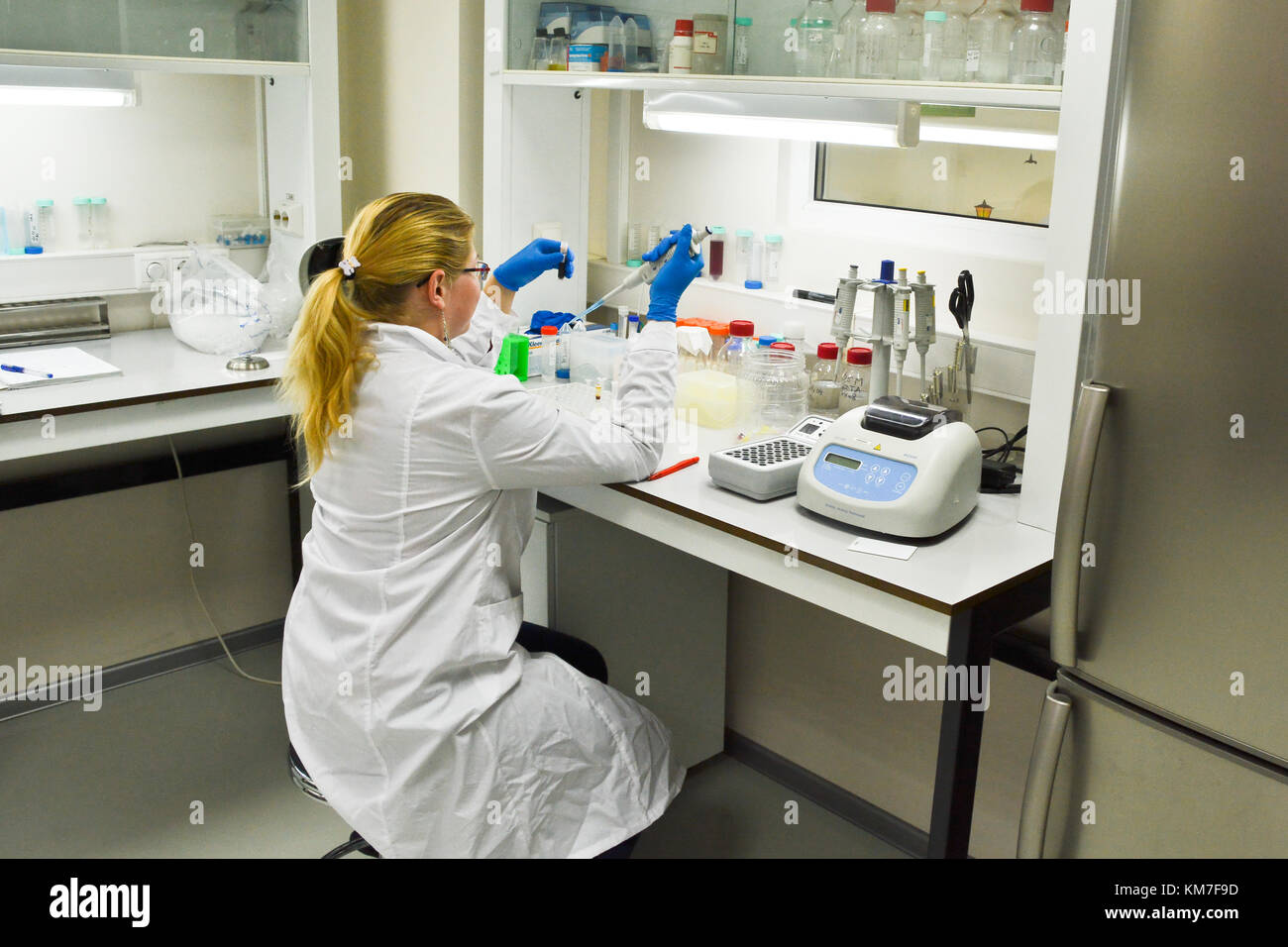 Laboratory assistant at work. Conducting scientific experiments in the ...