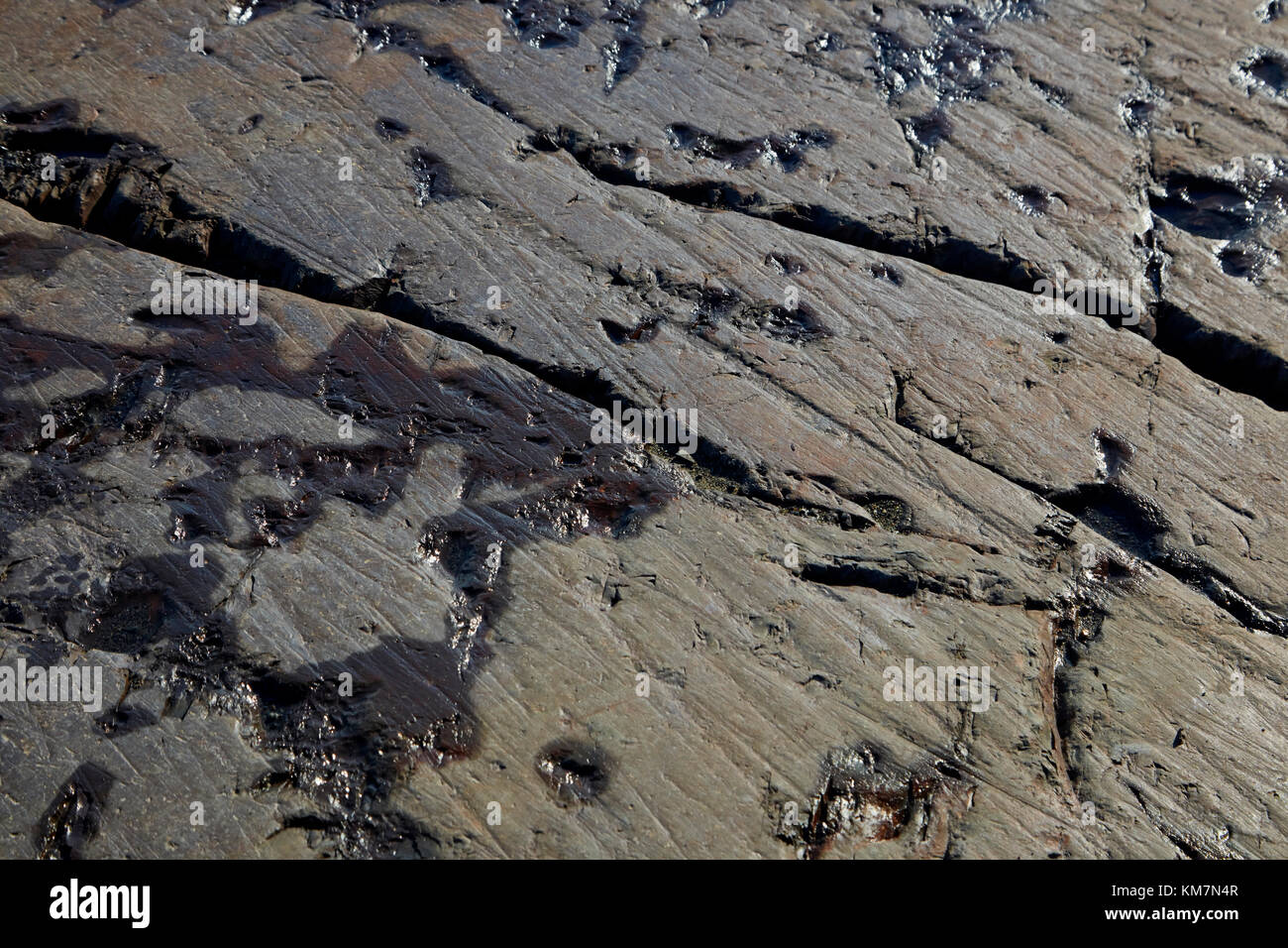 Rock ground smooth by Perito Moreno Glacier, Parque Nacional Los ...