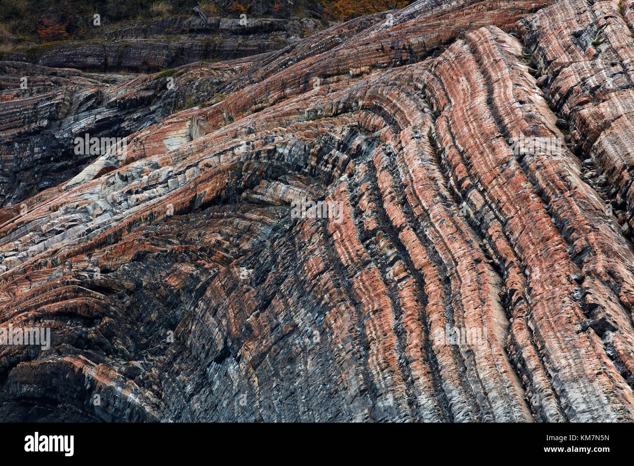 Unusual rock formations, Peninsula Magellanes, Parque Nacional Los ...